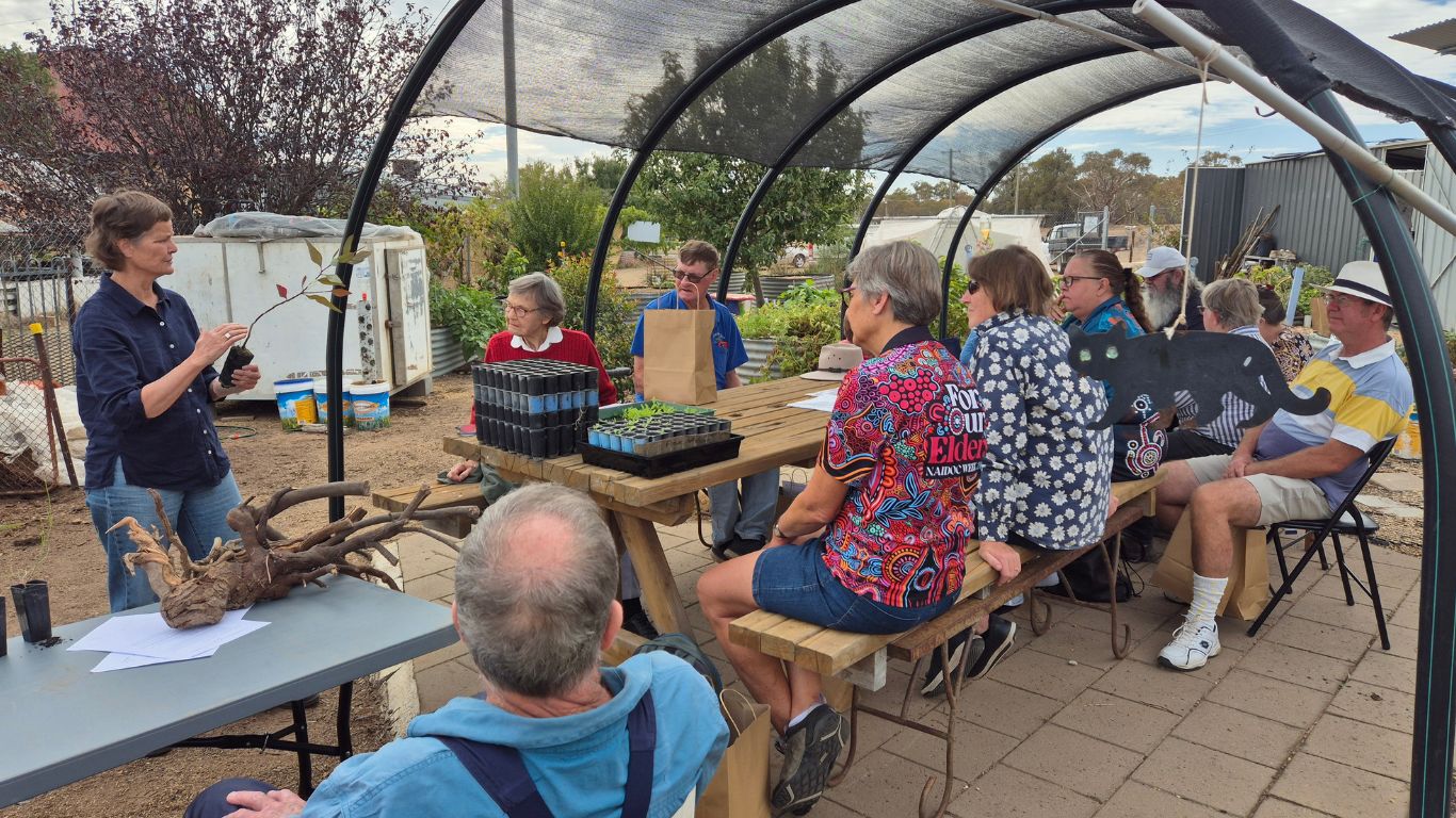 Blooming Connections - Seed propagation - Murrumbidgee Landcare Inc