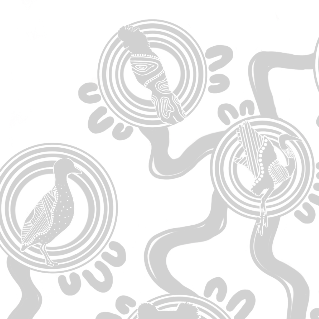 First Nations - Murrumbidgee Landcare Inc